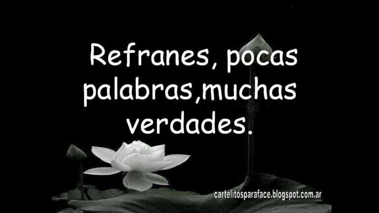Frases de Refranes de la Vida - Frases Bonitas tu portal de Referencia