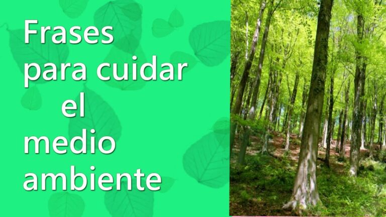 Frase para No Contaminar el Medio Ambiente - Frases Bonitas tu portal ...